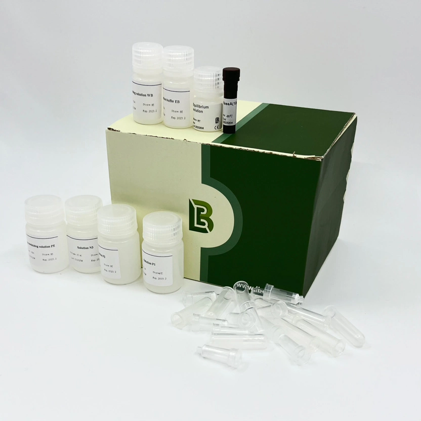 Pl18 Dna Extraction Kit High Yield Plasmid Small Extraction Medium